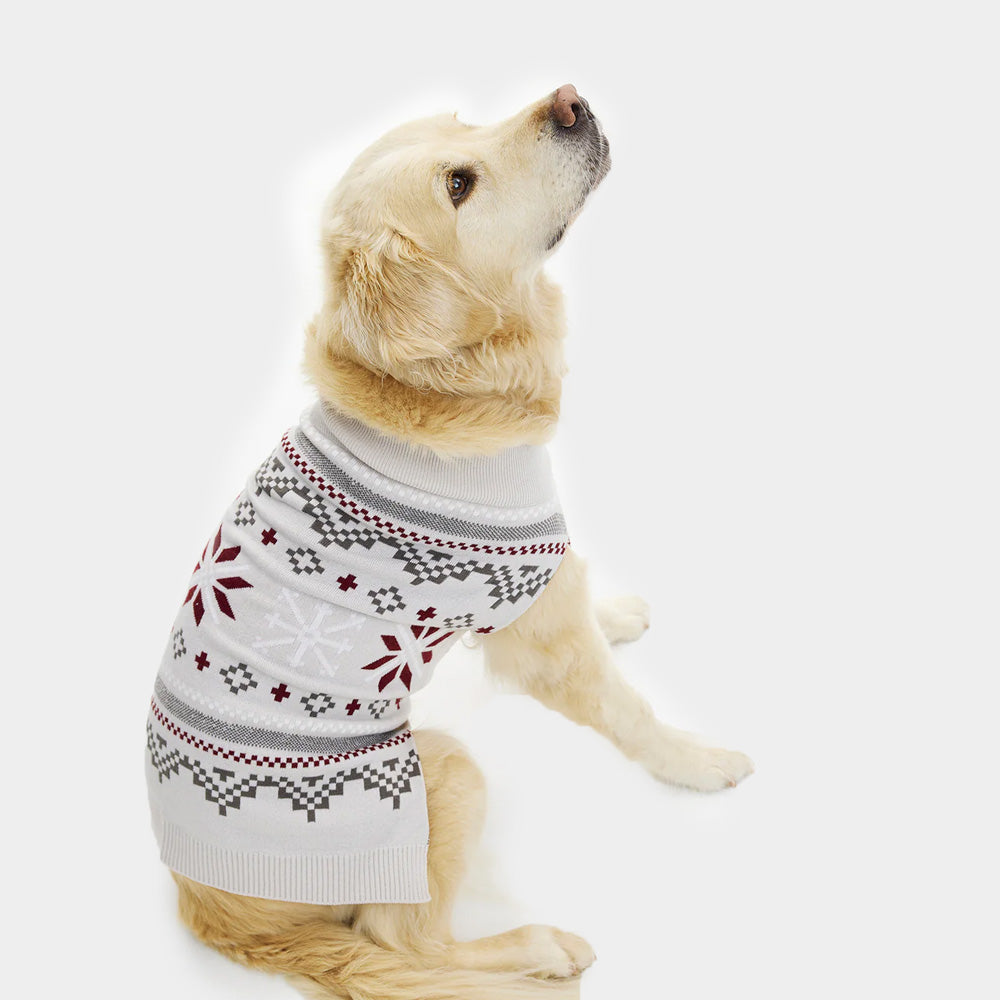 Suéter de Navidad para Perros Gris Estrellas Polares – Suéter Navideño